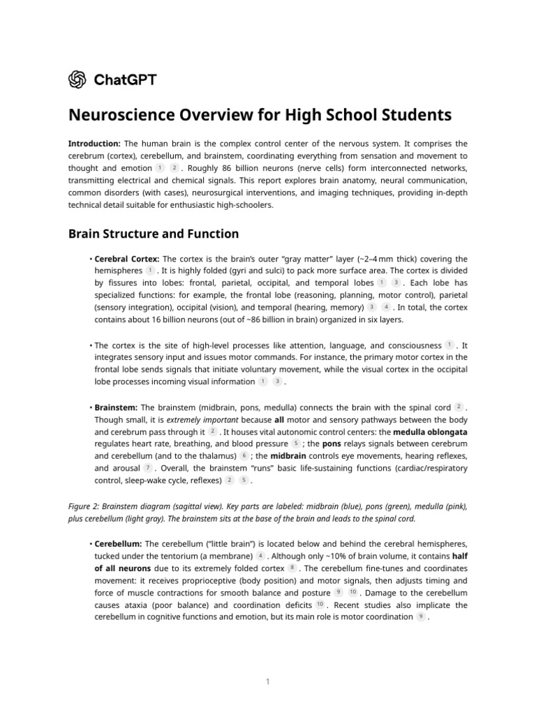 Neuroscience Overview For High School Students | PDF | Axon | Chemical ...