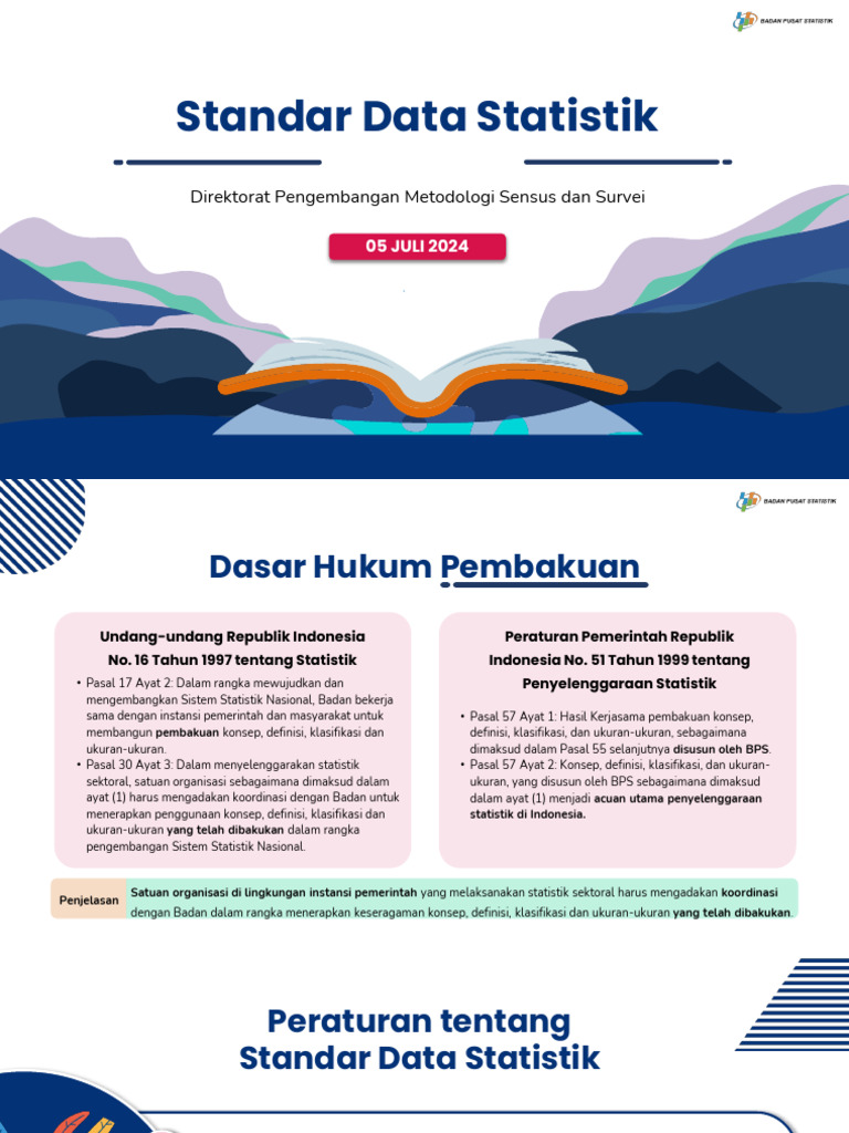 Standar Data Statistik Nasional 2024 | PDF