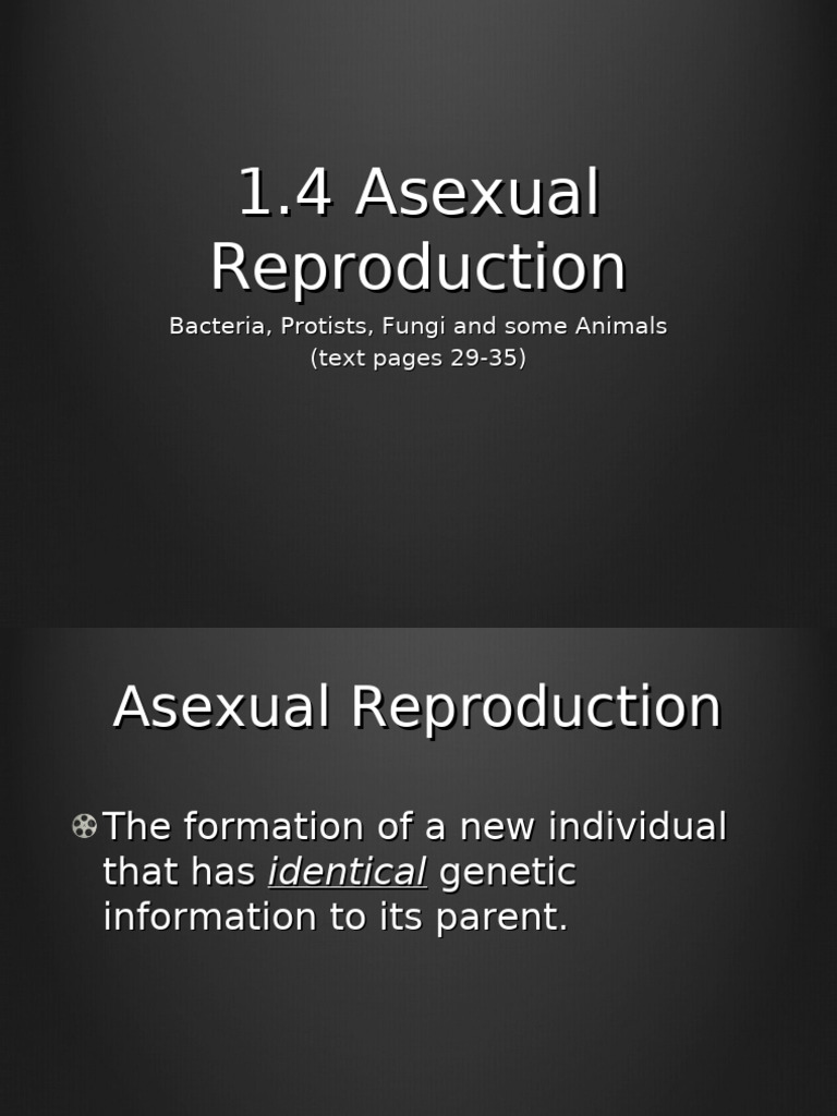 1.4 Asexual Reproduction in Bacteria Protists Fungi and Animals Notes ...