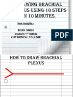 Brachial Plex Easy Diagram | PDF | Science & Mathematics