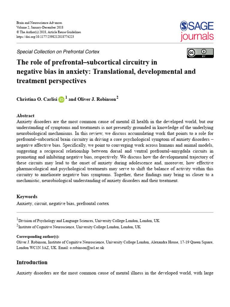 The Role of Prefrontal-Subcortical Circuitry in Negative Bias in ...