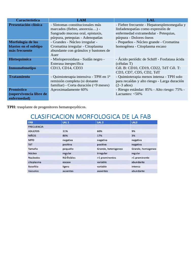 imagen LEUCEMIA | PDF