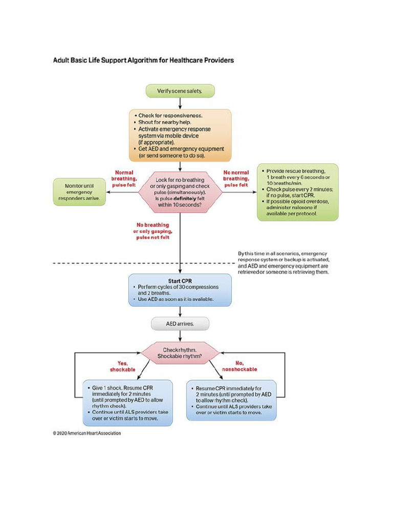 AHA 2020 Guidelines Flowchart | PDF