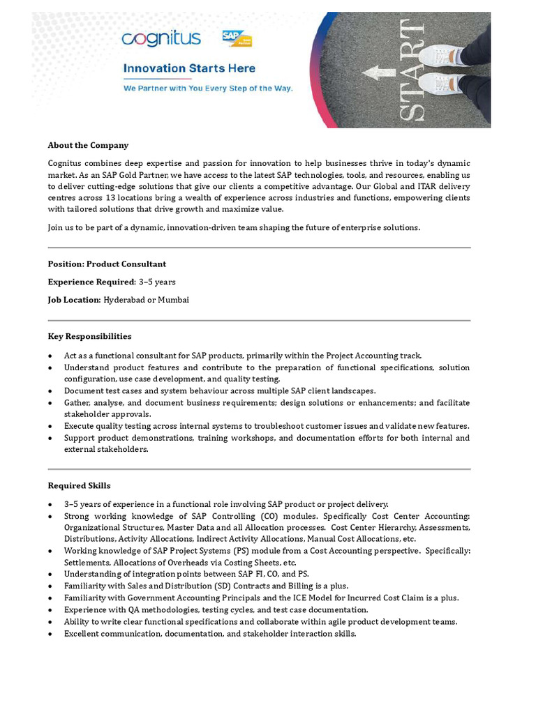 JD Product Functional Consultant V2.0 | PDF | Consultant | Economies