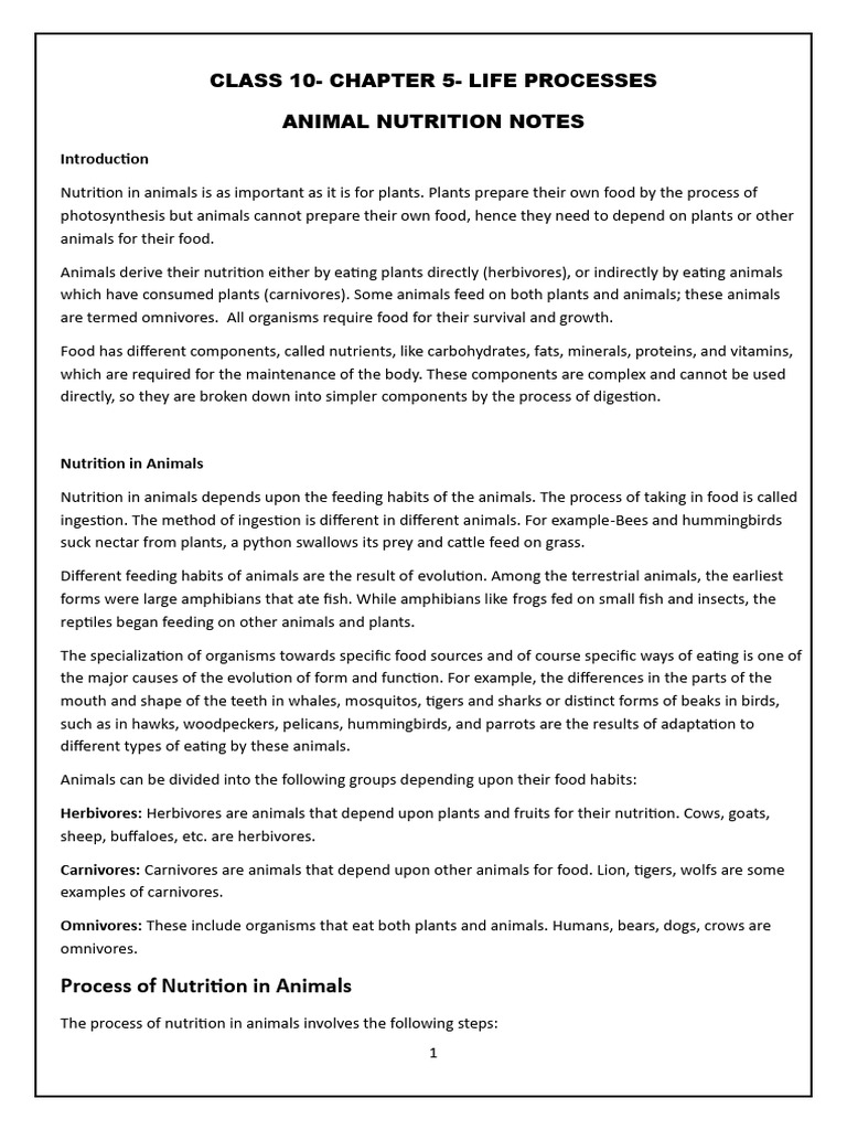 Chapter 5 Animal Nutrition Notes | PDF | Digestion | Human Digestive System