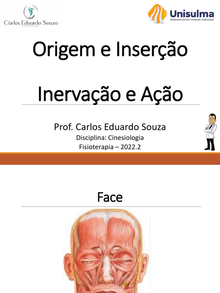 Anatomia dos Músculos Faciais e Mandibulares | PDF | Vértebra | Pélvis