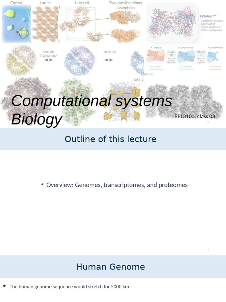 Computational Systems Biology L03 | PDF | Gene | Transcriptome