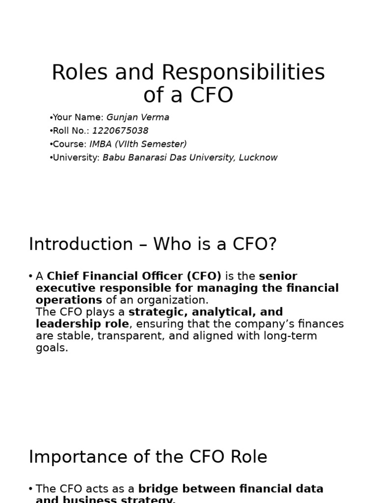 Key CFO Roles and Responsibilities | PDF | Chief Financial Officer ...