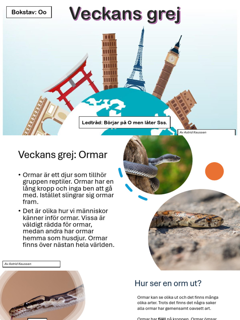 Fakta om orm | PDF