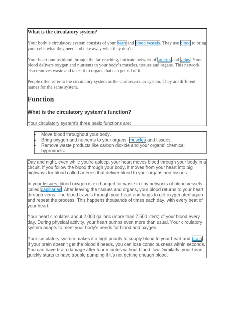 Circulatory System Pdf