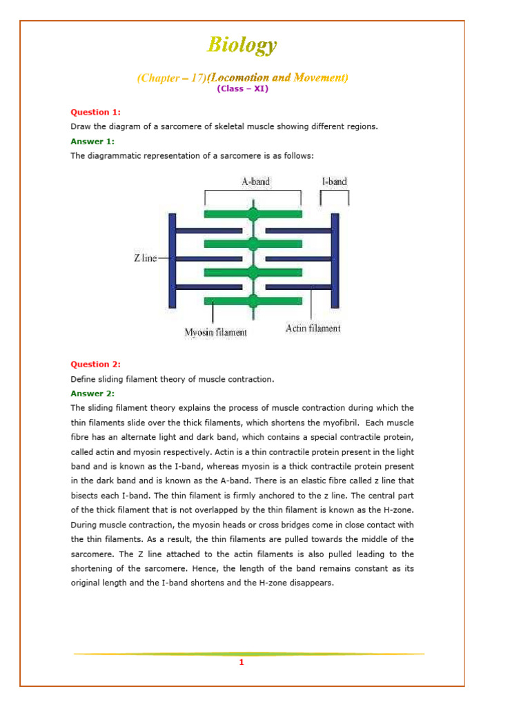 Locomotion and Moment Exercise Question Answer | PDF | Muscle ...