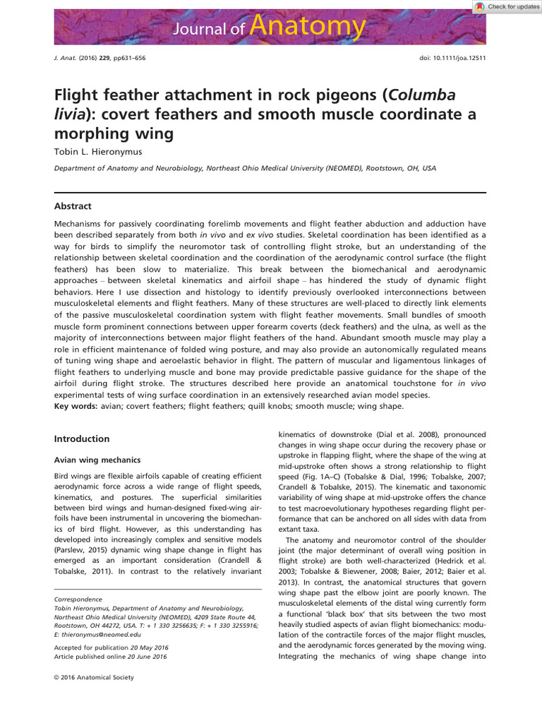 Journal of Anatomy - 2016 - Hieronymus - Flight Feather Attachment in ...