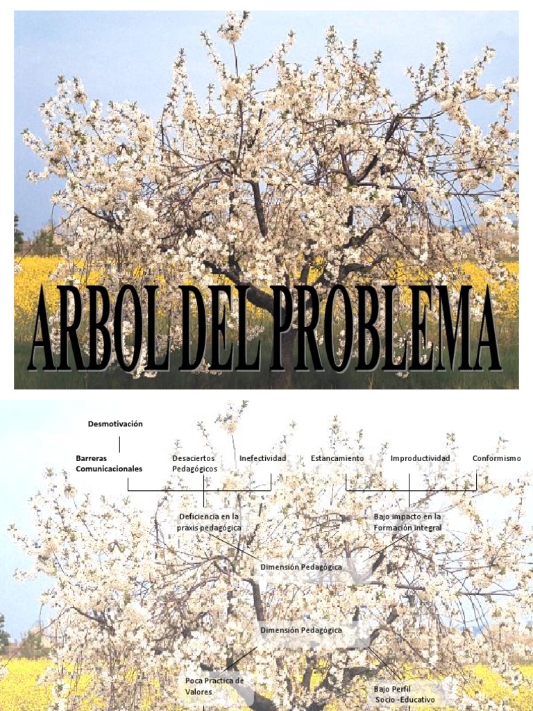 UEE Doña Graciela Rincòn Calcaño | PDF | Exclusión social | Planificación