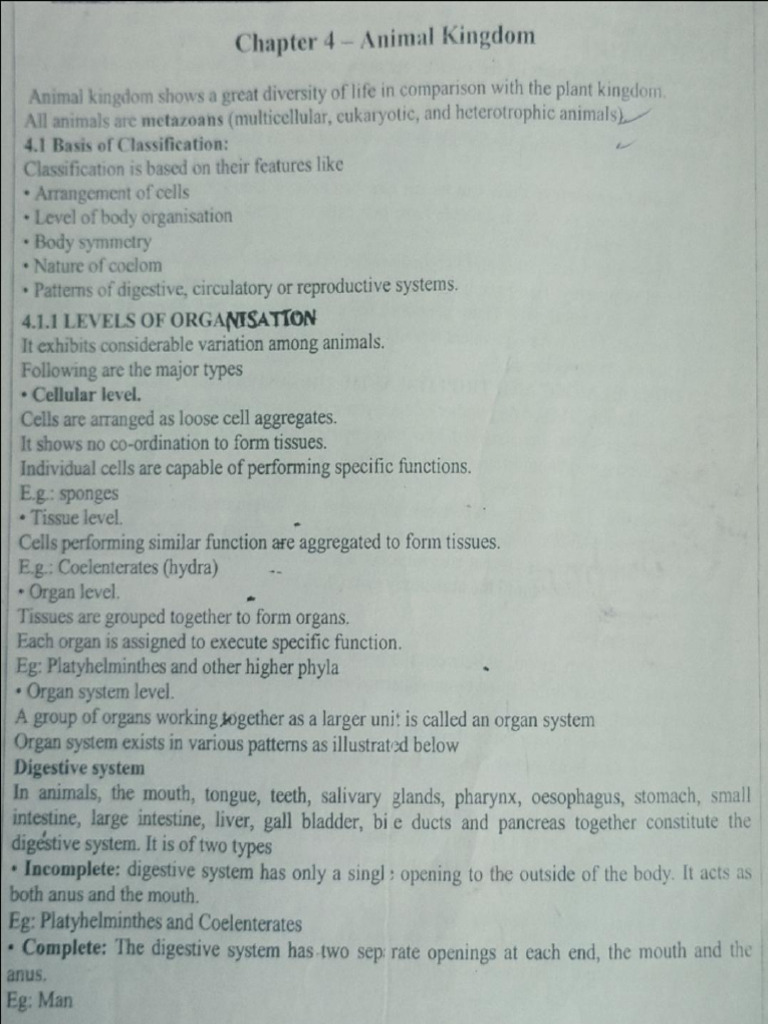 11th Animal Kingdom Notes | PDF
