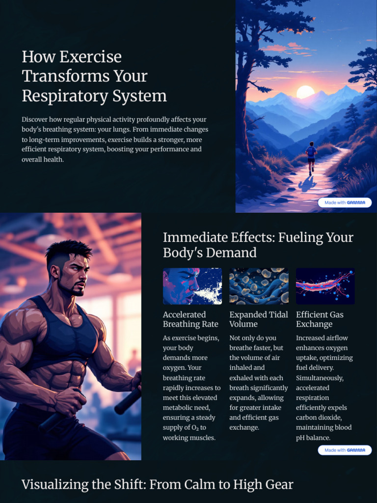 How Exercise Transforms Your Respiratory System | PDF