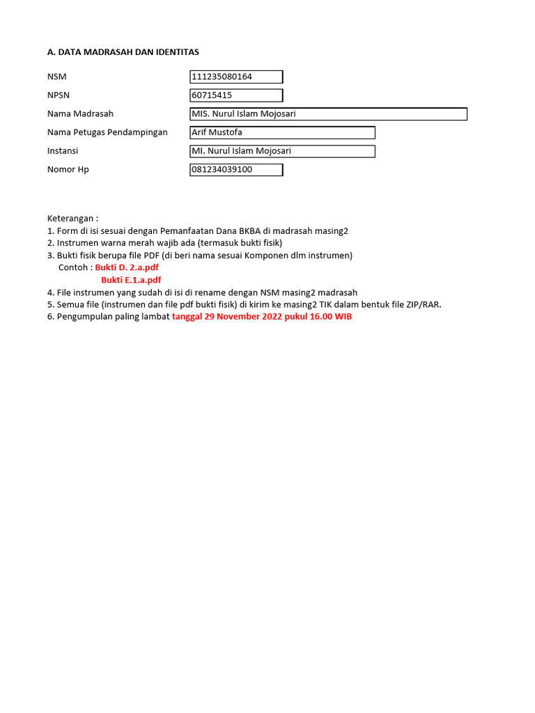 111235080164 (Form Pendampingan BKBA MIS Nuris Mojosari) | PDF