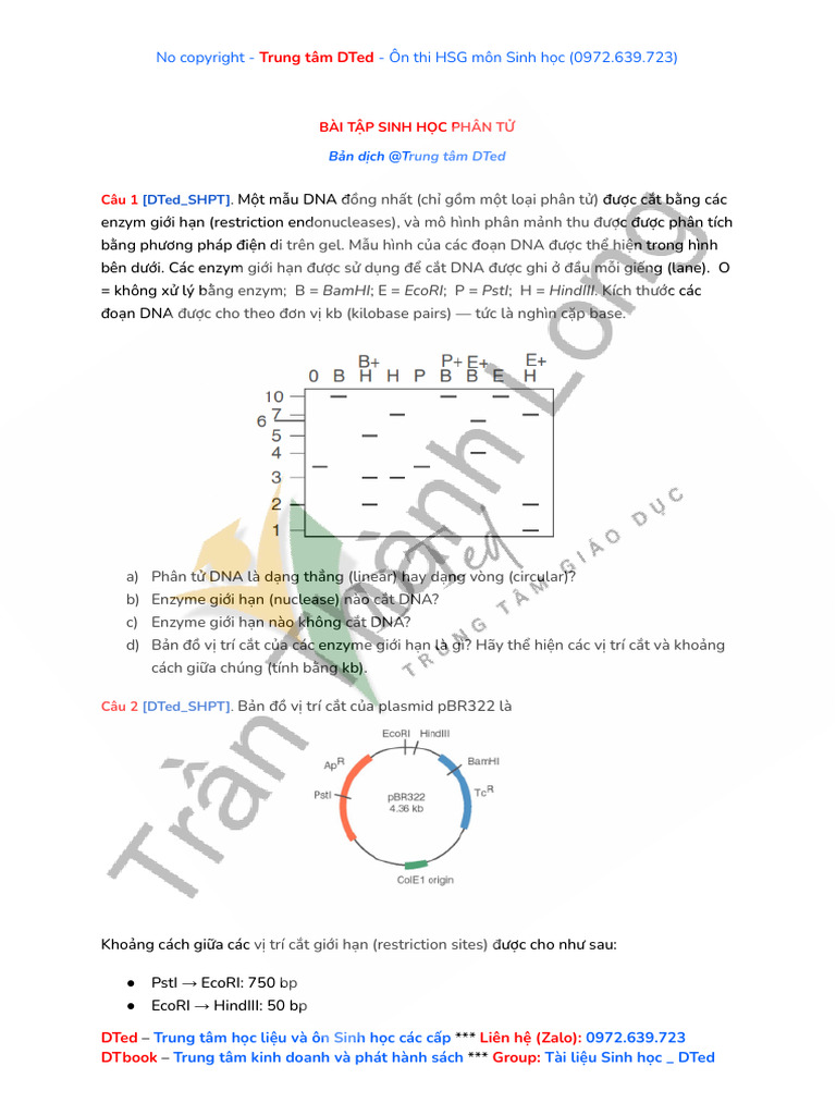 Final - SHPT | PDF