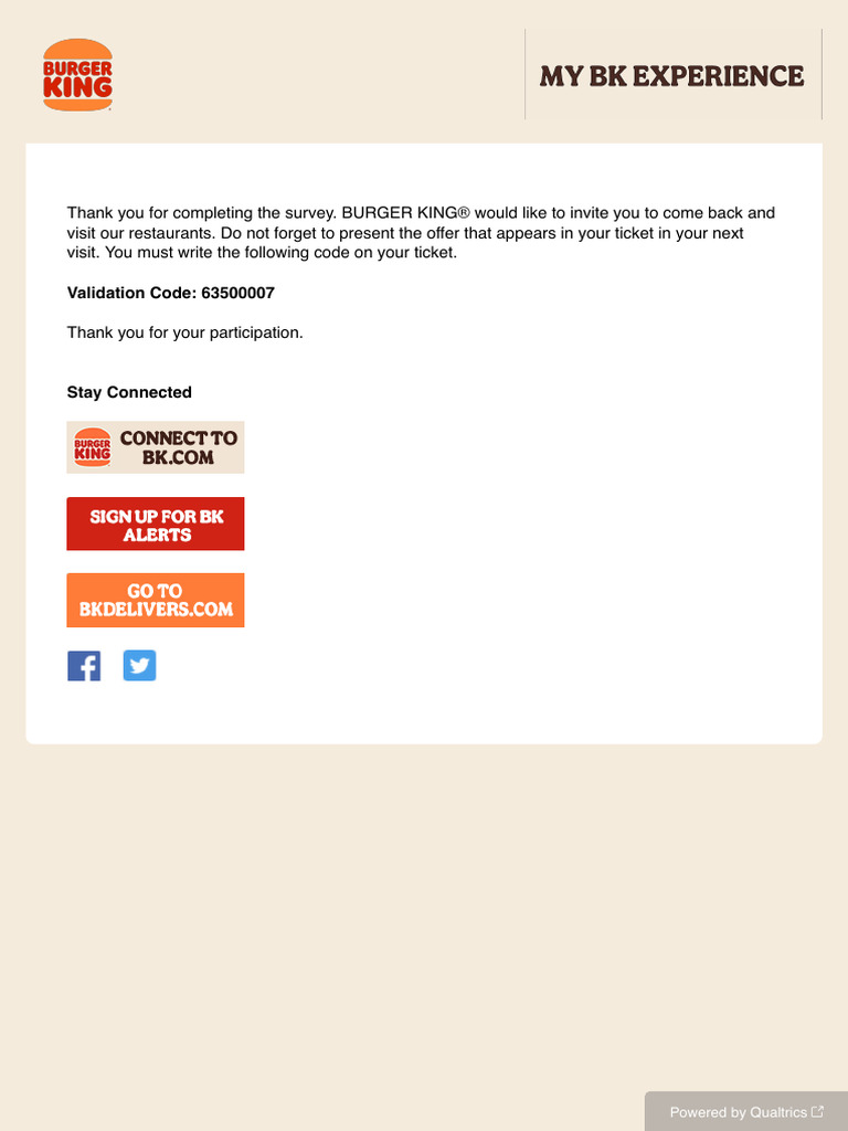 BK Philippines Survey | PDF