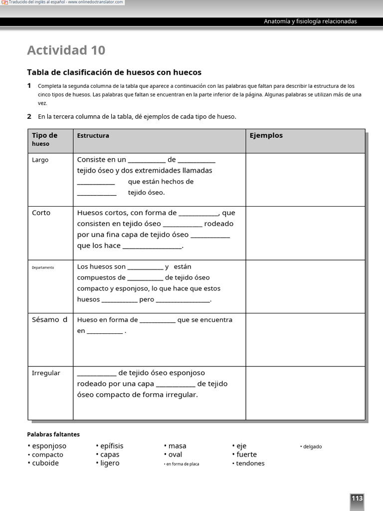 IUBT435 - (4) Classification of Bones WS - En.es | PDF | Hueso | Histología