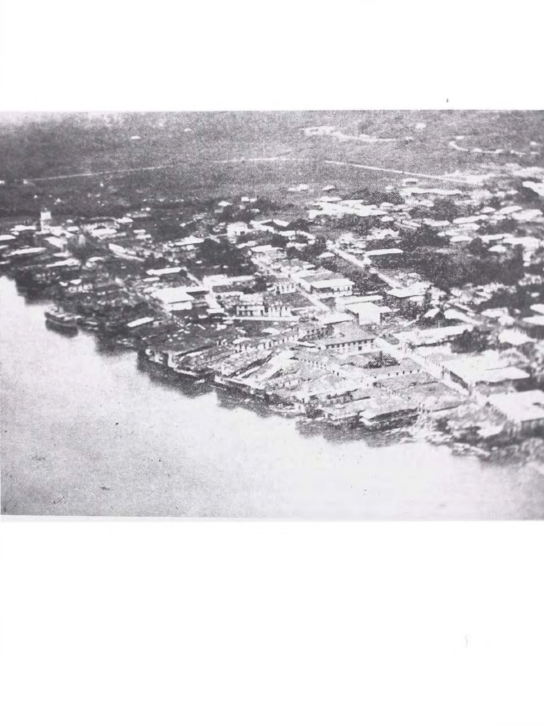 sirio-libaneses-en-el-choco-cien-anos-de-presencia-economica-2sb2cvclhq (1) | PDF