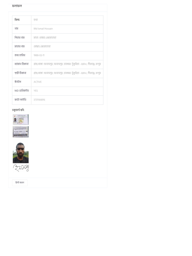 Developer API Dashboard - Dashboard | PDF