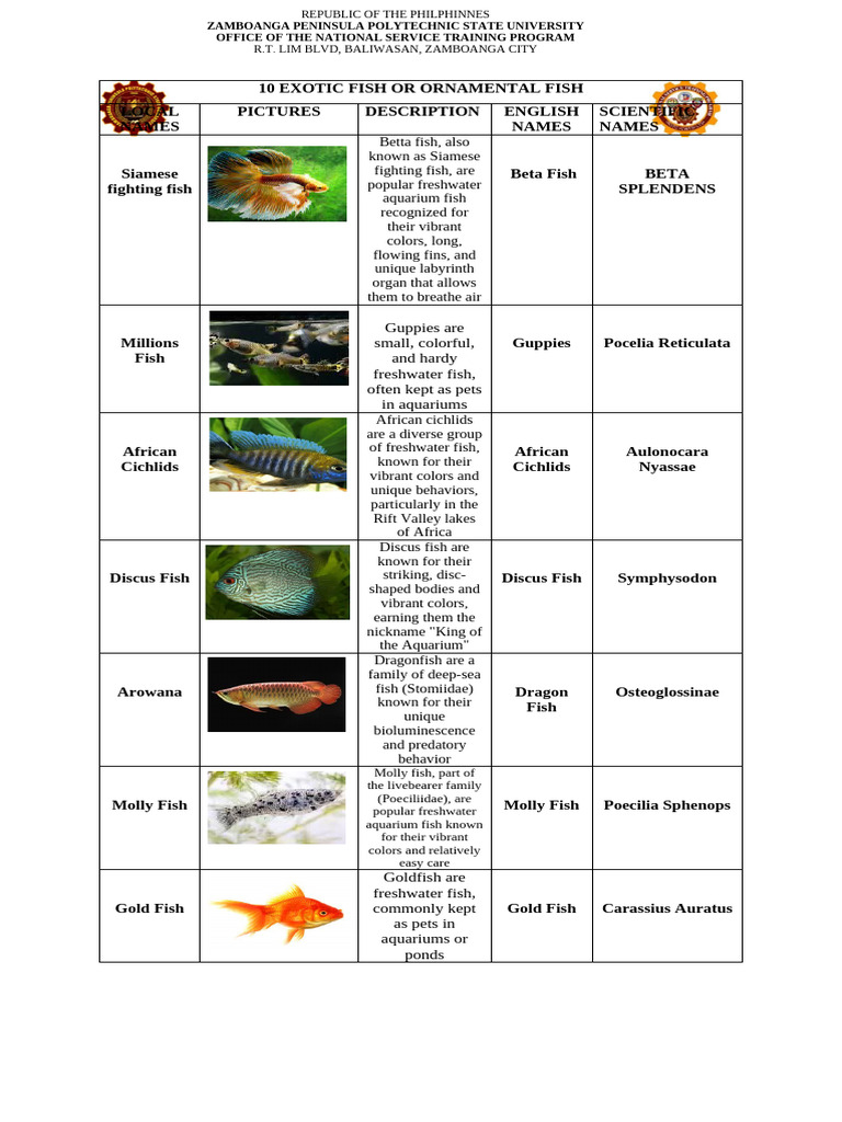 10 Exotic Fish or Ornamental Fish | PDF | Mollusca | Fishkeeping