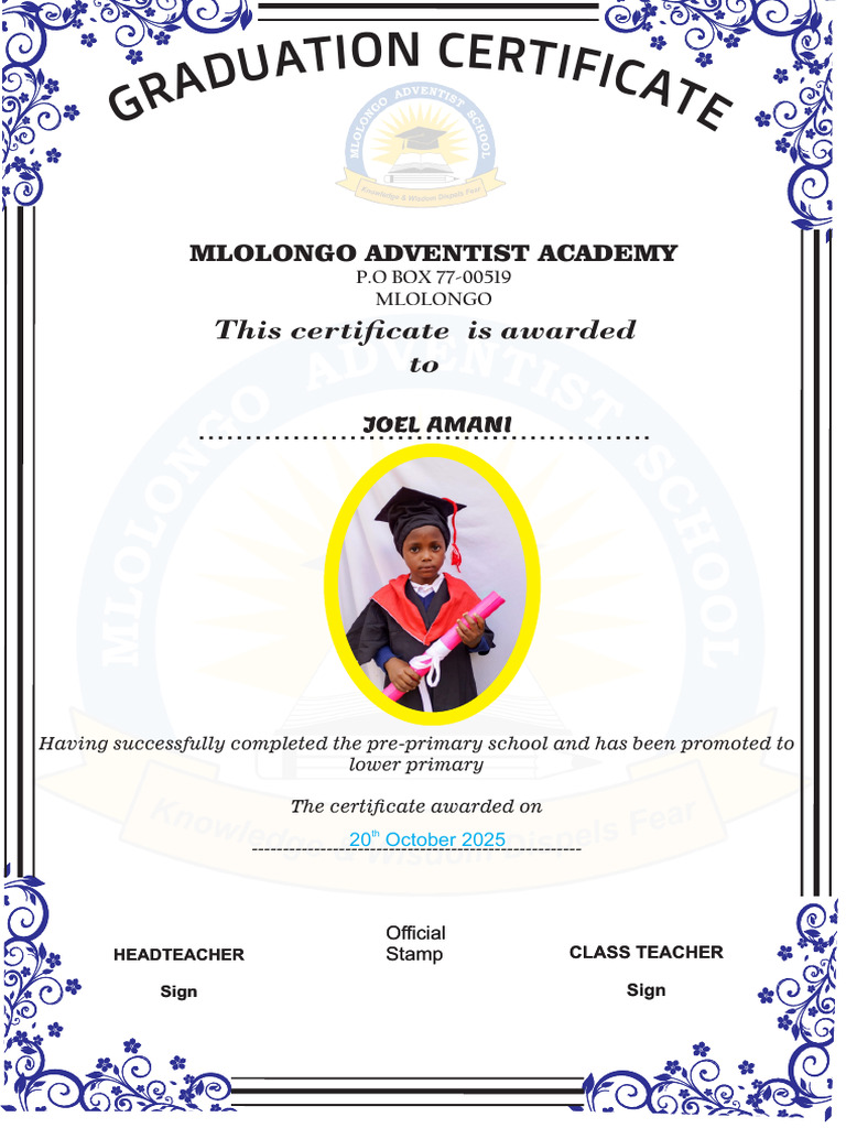 Pre-Primary to Upper Primary Certificate | PDF