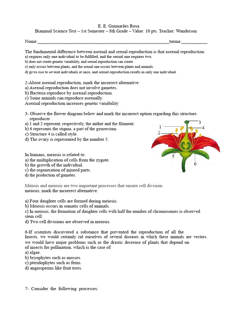 Bimonthly Exam 1st B 8th grade 2023 | PDF | Sexual Reproduction ...