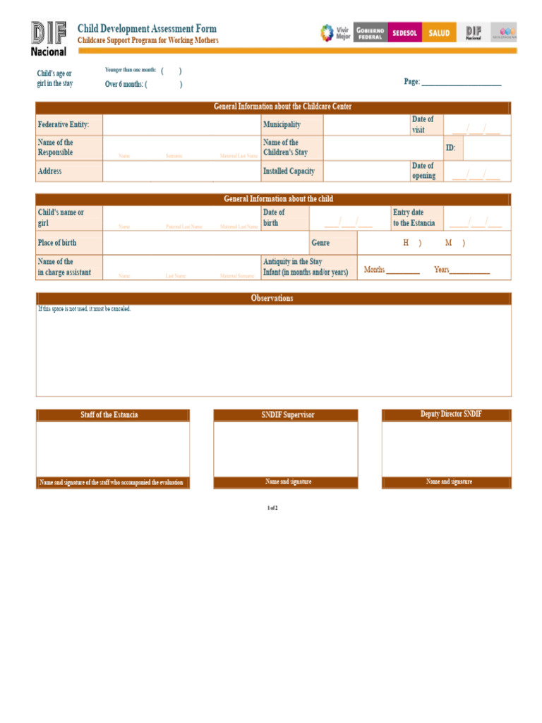 Child Development Assessment Form | PDF | Child Care | Child Development