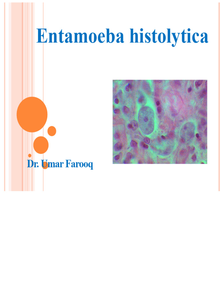 Entamoeba Histolytica | PDF