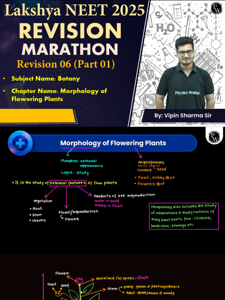 Botany Morphology NEET 2025 Revision | PDF