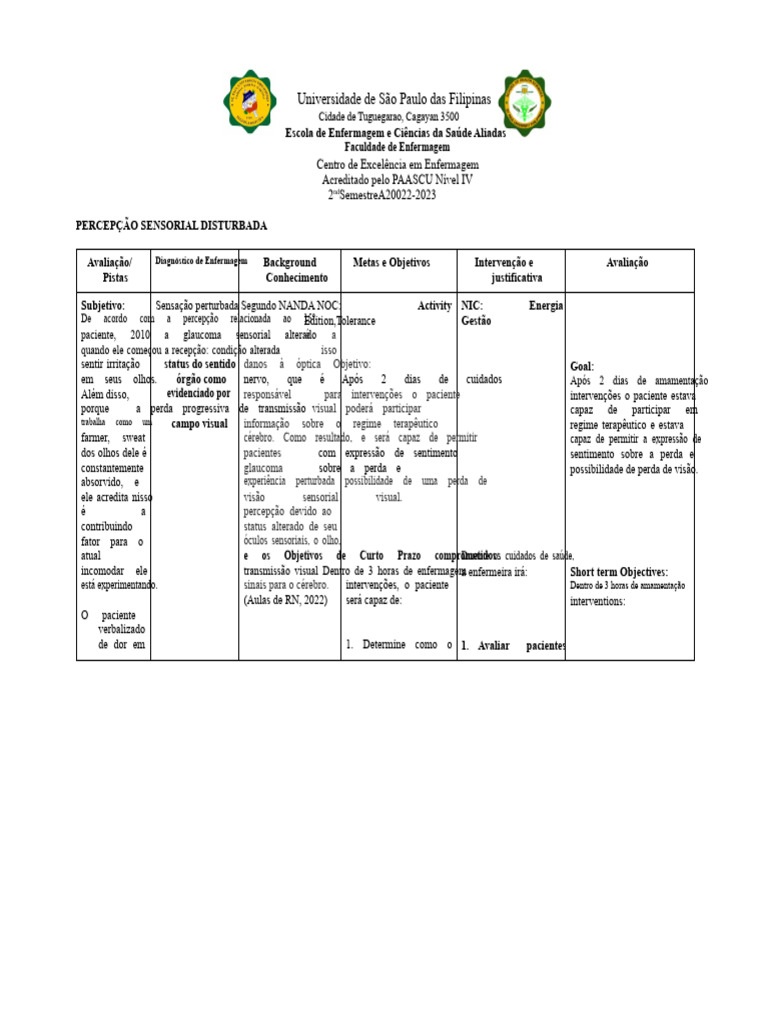 glaucoma ncp | PDF | Glaucoma | Sistema visual