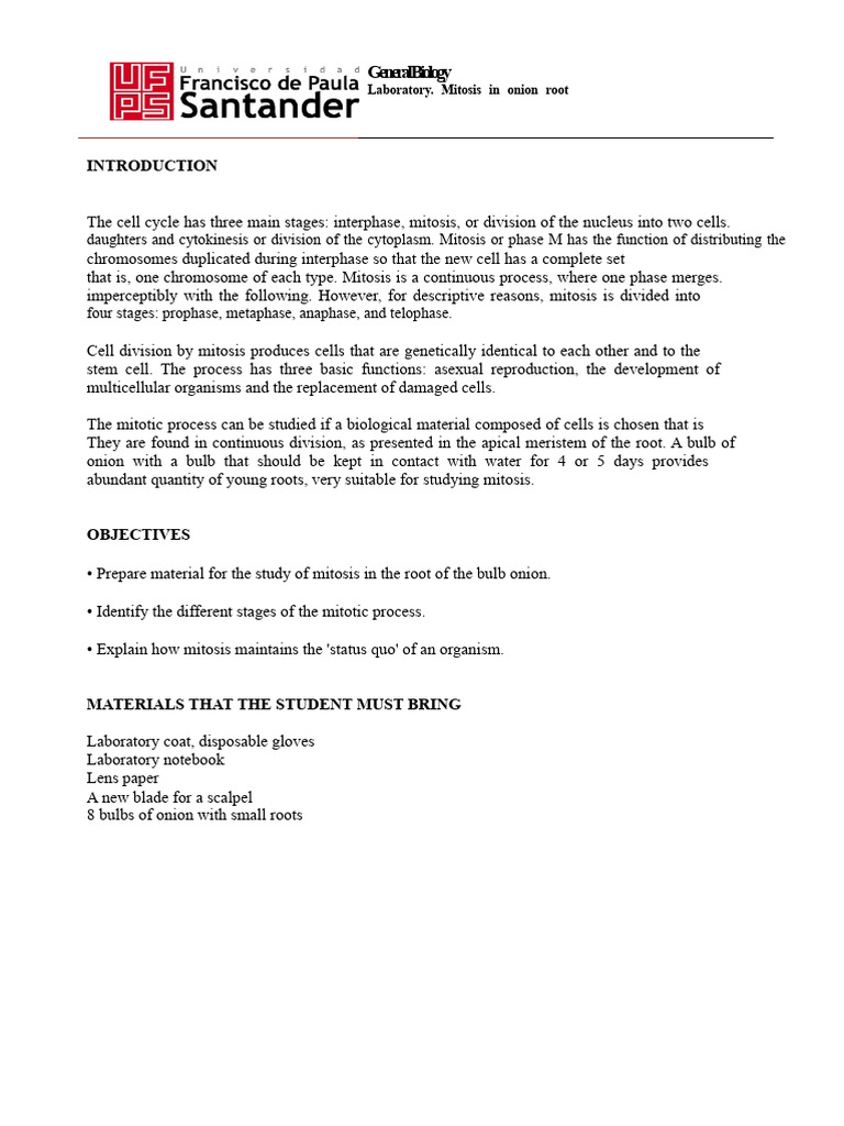 Laboratory No. 10 Mitosis in Onion | PDF | Mitosis | Cell Biology