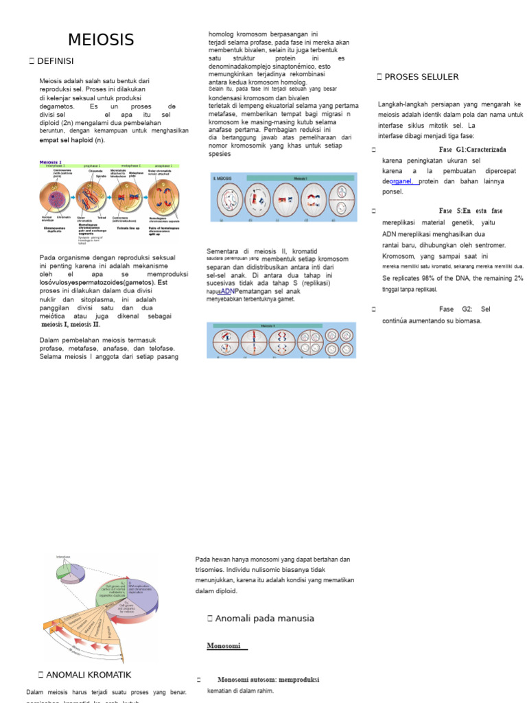 Triptik Meiosis | PDF
