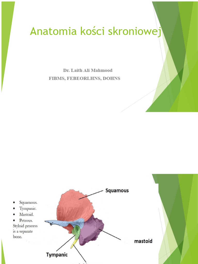 Anatomia Kości Skroniowej | PDF