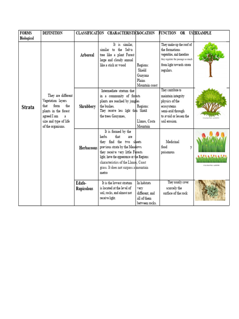 Biological Forms | PDF | Shrub | Trees