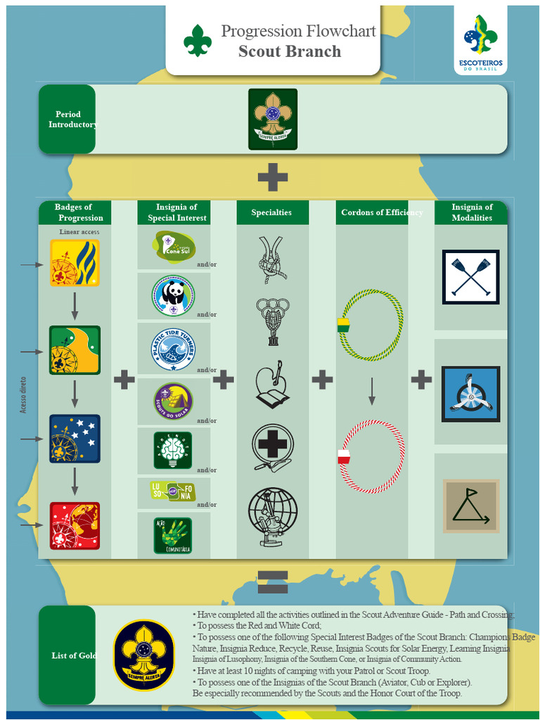 Scout Progression Flowchart Guide | PDF