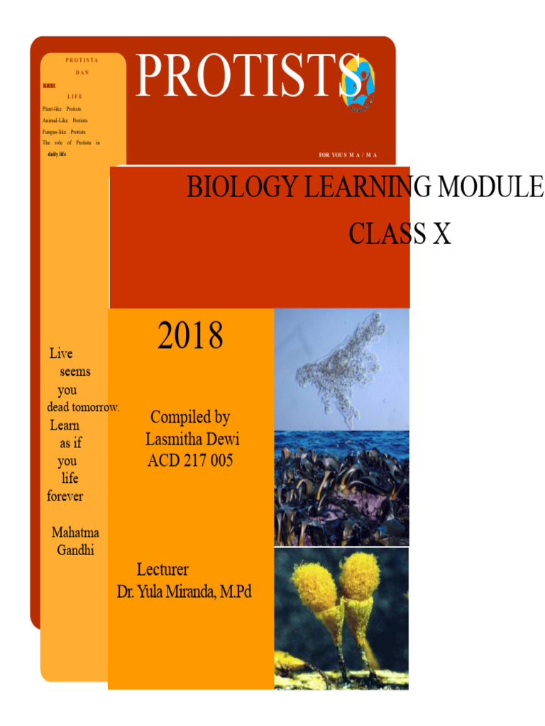 Understanding Protista's Role in Life | PDF | Protozoa | Fungus