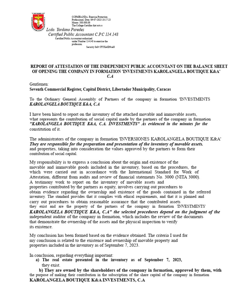 Opening Balance Report - Nita 3000 | PDF | Audit | Financial Services