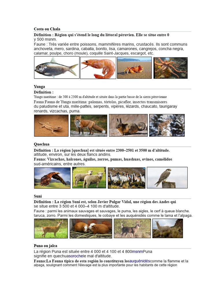 Régions et faune du Pérou : Guide complet | PDF | Andes | Zoologie