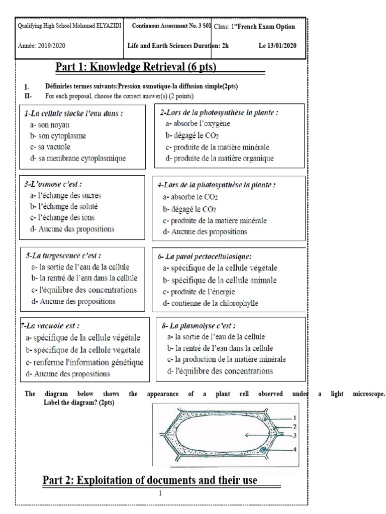 Exercise 3 Photosynthesis | PDF
