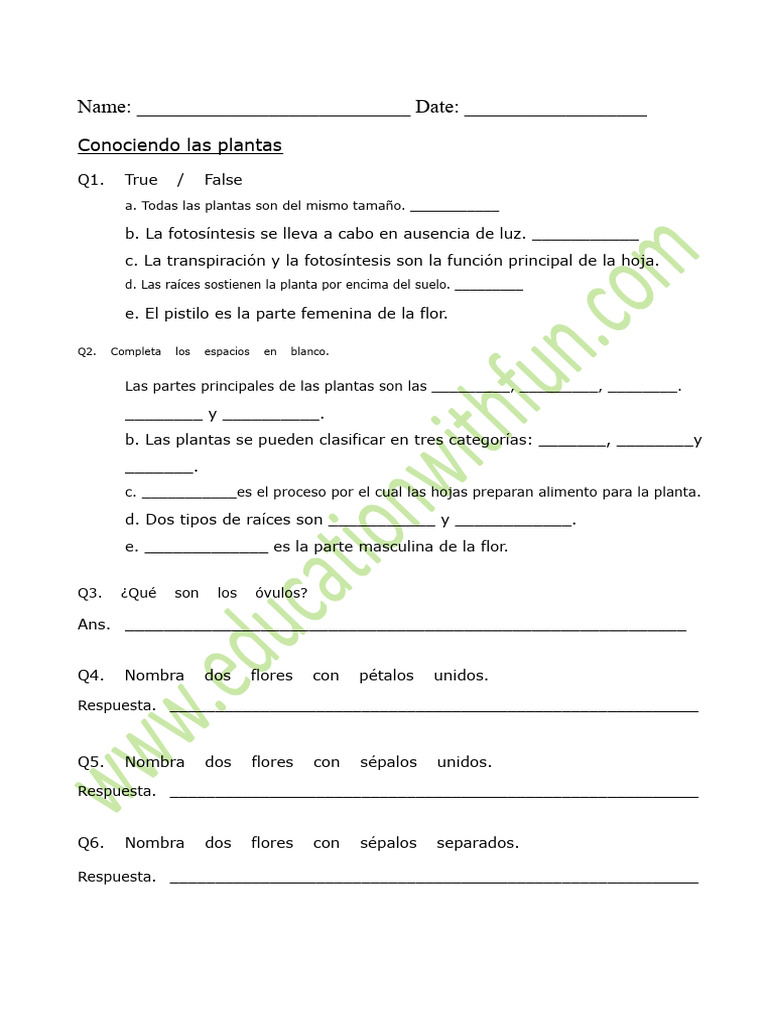 Conociendo Las Plantas - Hoja de Trabajo - 1 PDF | PDF | Flores | Plantas