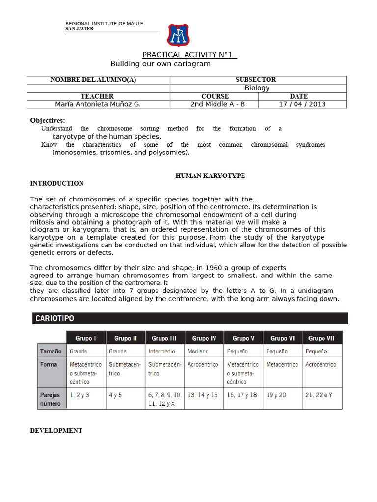 Human Karyotype Activity | PDF