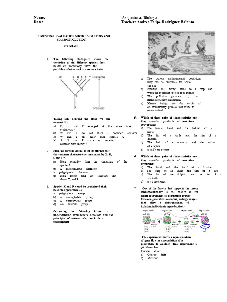 BIMESTRAL EVALUATION MICROEVOLUTION AND MACROEVOLUTION 9th Grade | PDF ...