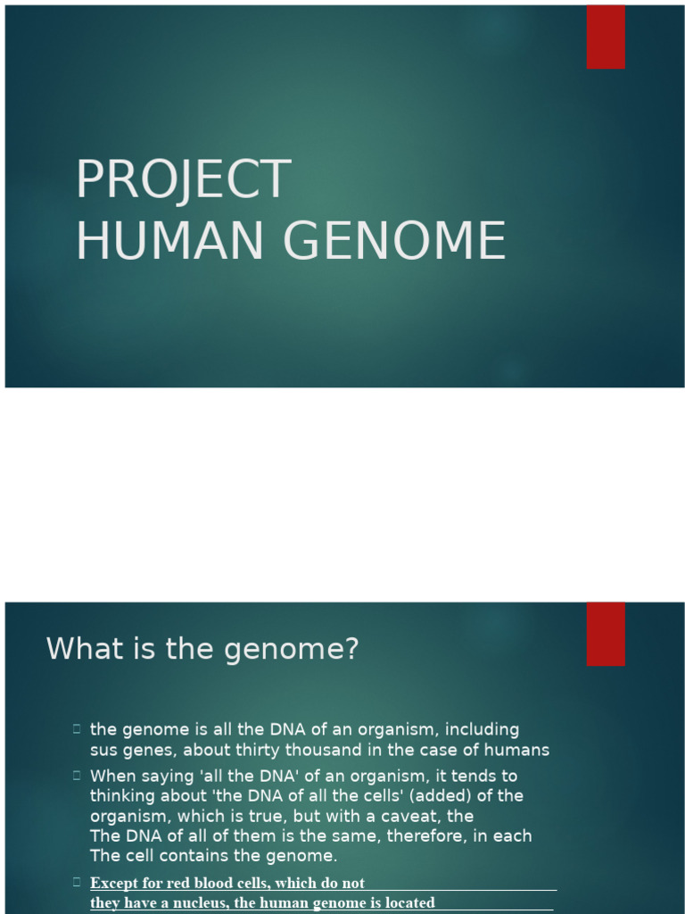 Human Genome Project | PDF | Dna | Human Genome