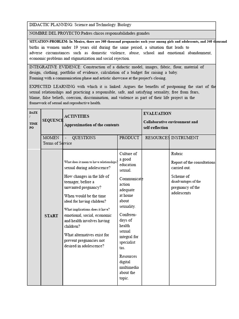 Didactic Planning of STEAM Biology (1) | PDF | Adolescence | Violence