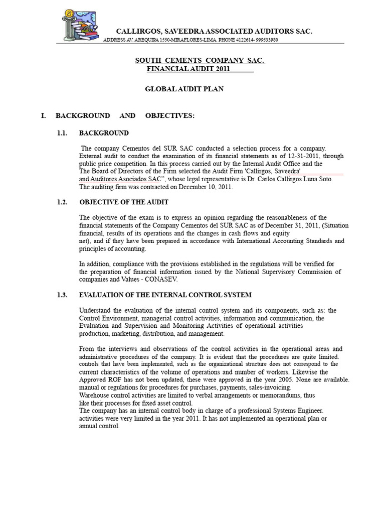 Cementos Del Sur Audit Program | PDF | Audit | Internal Control