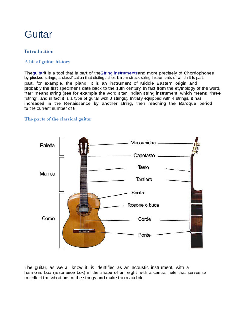 Guitar History and Anatomy Explained | PDF | String Instruments | Guitars