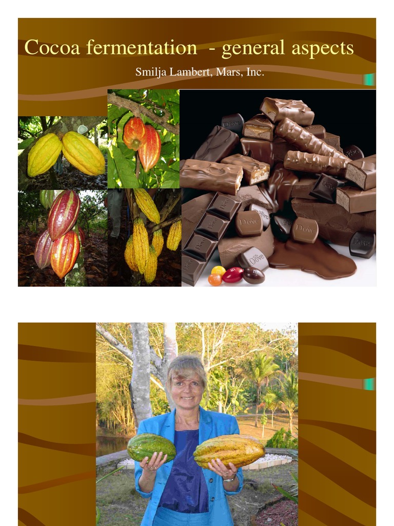 Cocoa Fermentation Process Explained | PDF | Cooking, Food & Wine ...