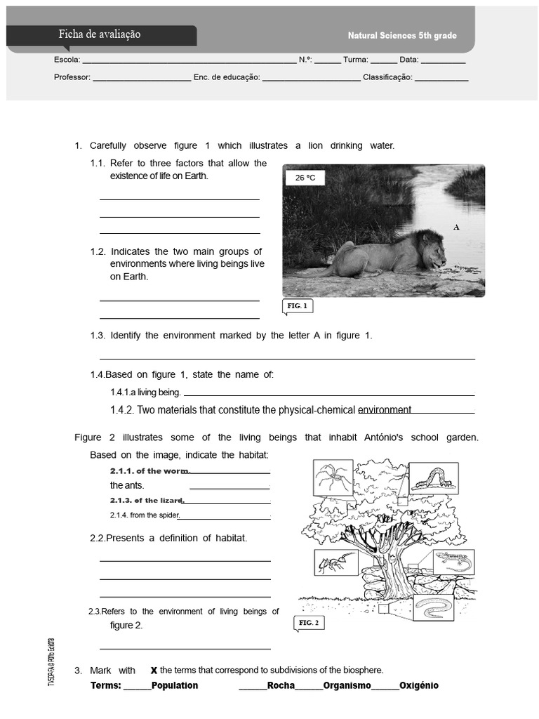 Test 1a With Earth in Sight 5th Grade | PDF | Rock (Geology ...